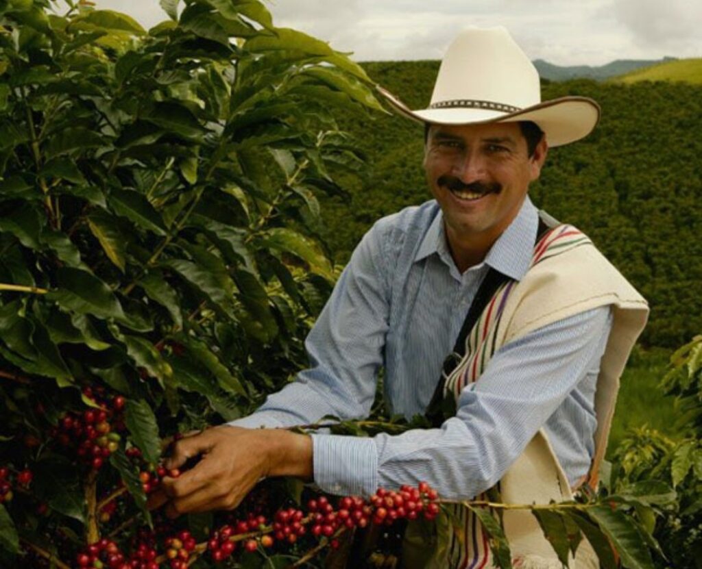 Juan Valdez pierde a Carlos Castañeda - Ruta Noticias